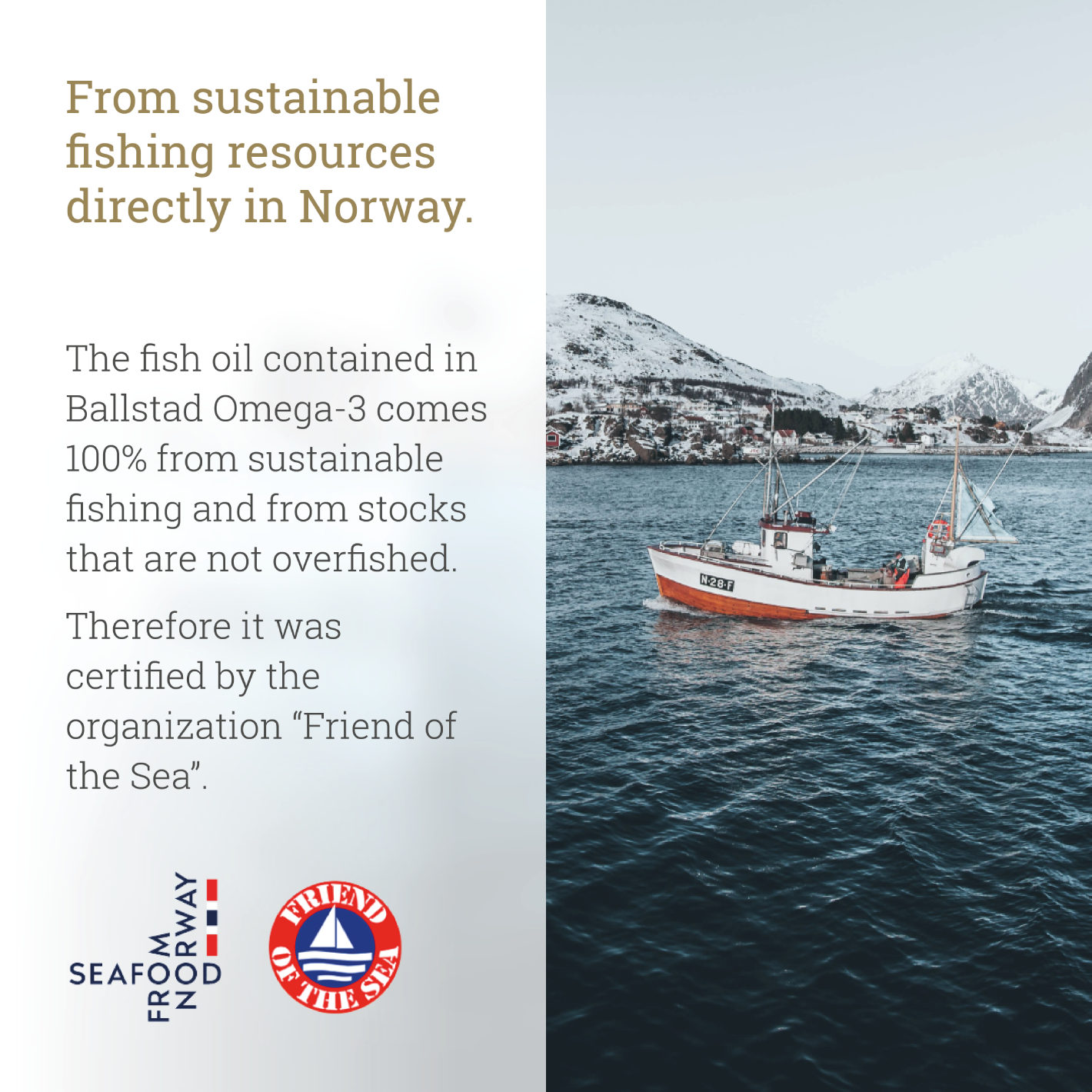 Norwegian Seafood Recipes – Page 2 – Ballstad Thailand
